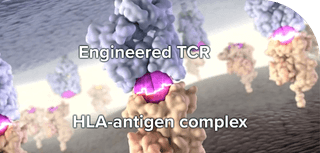 Overview of T-cell therapies for solid tumors