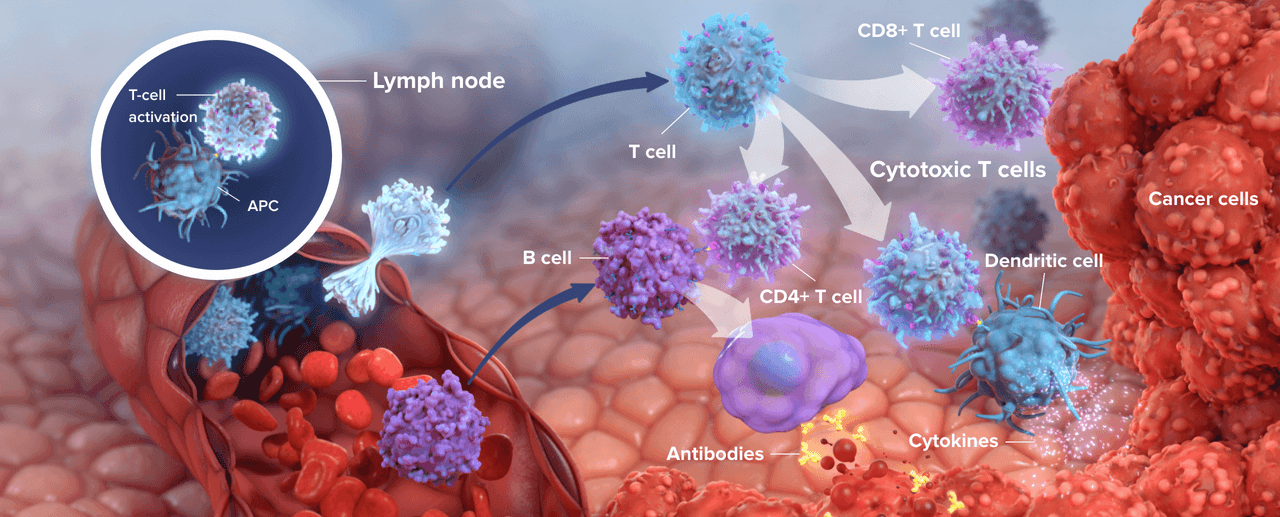 TCR T-Cell Therapies for Solid Tumors | TCR T Cell