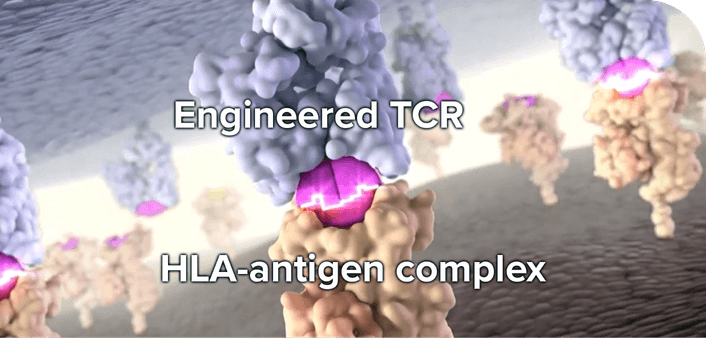 Role of Immunotherapy to Destroy Cancer Cells | TCR T Cell